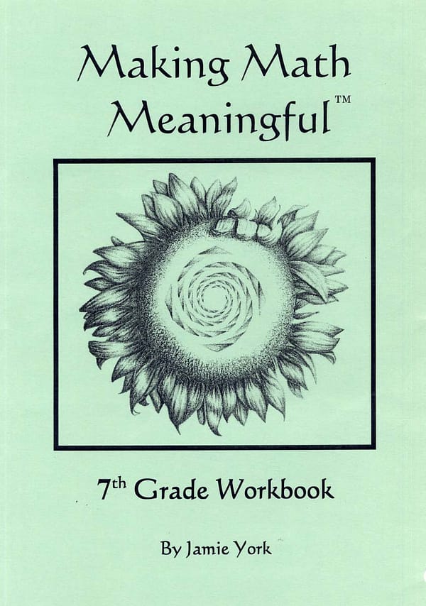 7th Grade Student Workbook - Jamie York Academy